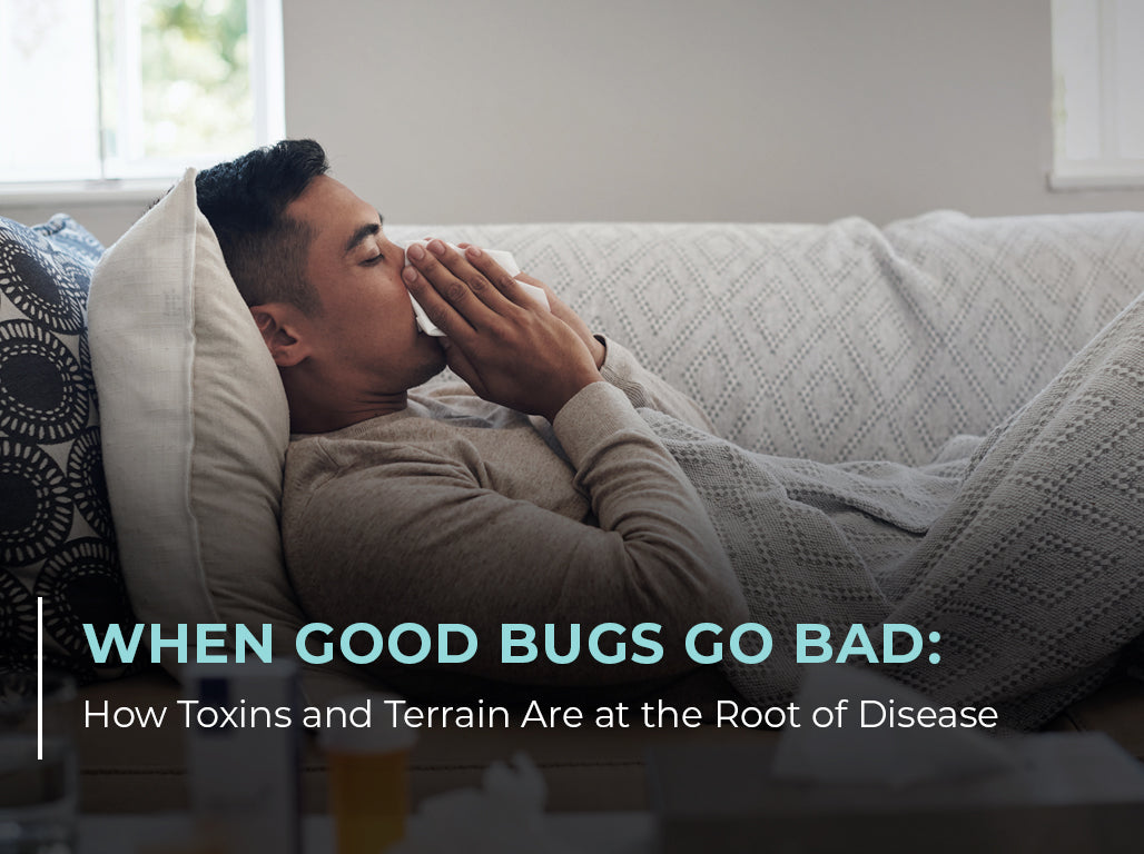 When Good Bugs Go Bad: How Toxins and Terrain Are at the Root of Disea ...