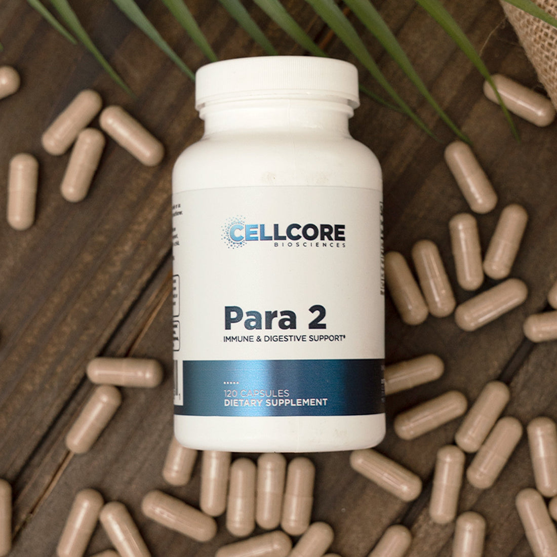 Para 2 † - Gut Support Supplement - CellCore Biosciences