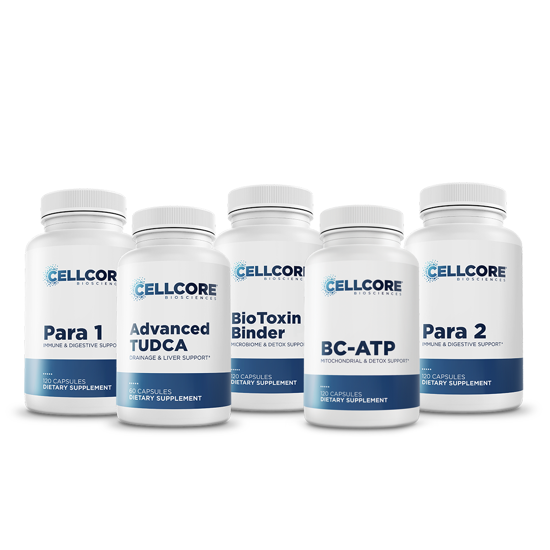 Phase 2: Gut & Immune Support – CellCore Biosciences