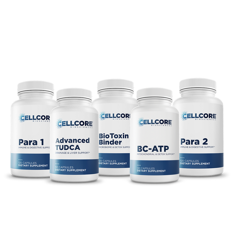 Phase 2: Gut & Immune Support – CellCore Biosciences
