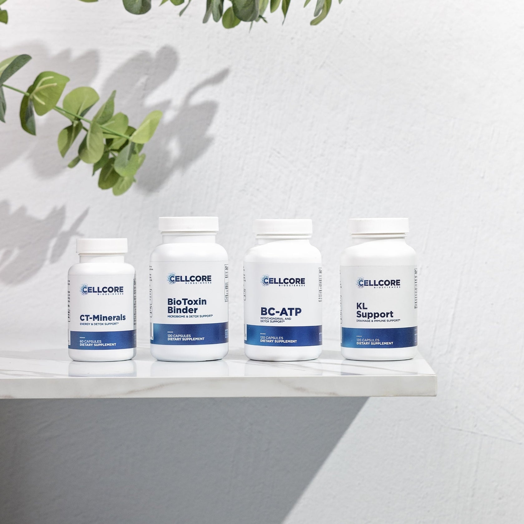 Phase 1: Energy and Drainage – CellCore Biosciences