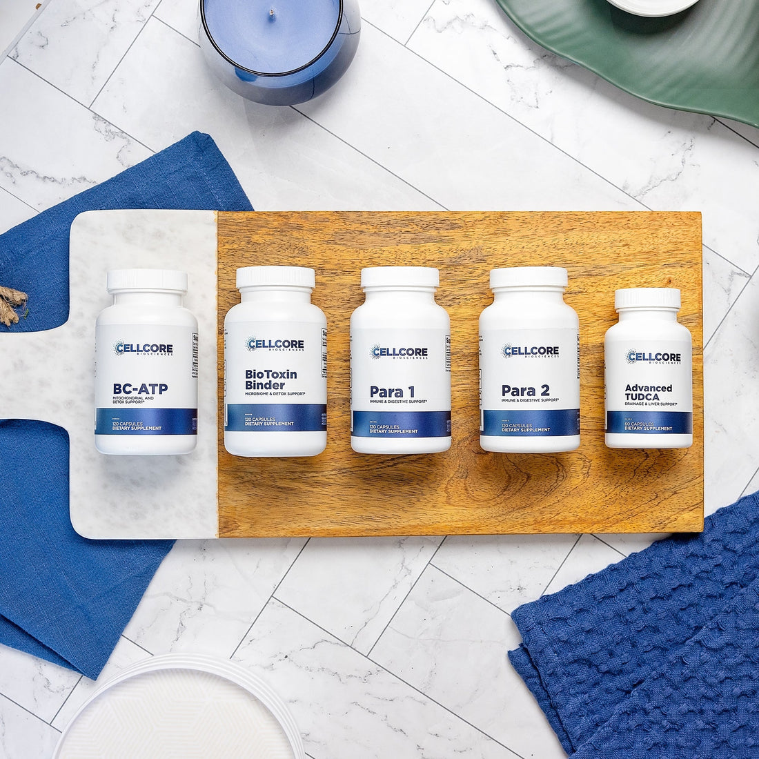 Phase 2: Gut & Immune Support – CellCore Biosciences