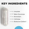 CT-Zyme - Digestive Enzymes Supplement - CellCore Biosciences