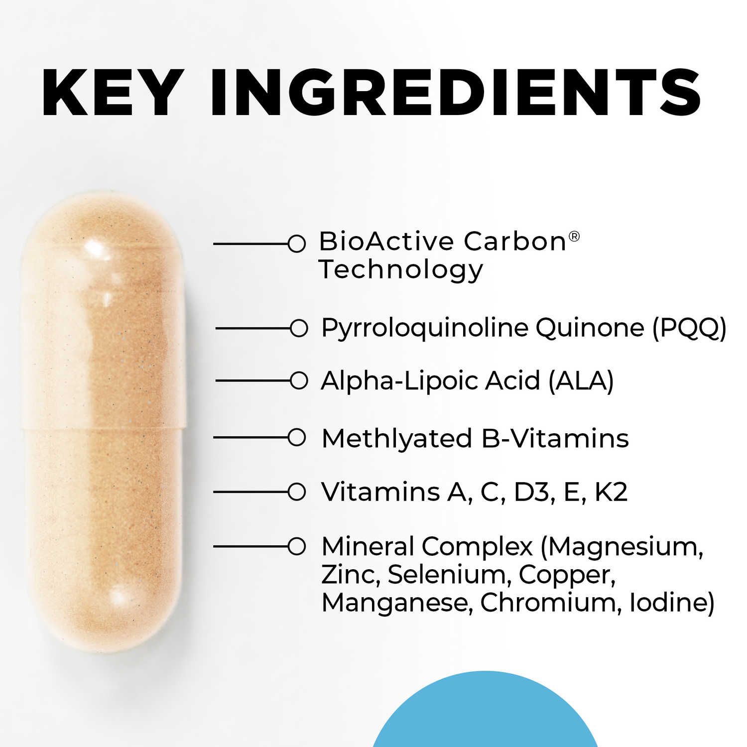 Core Nutrients 120 ct – CellCore Biosciences