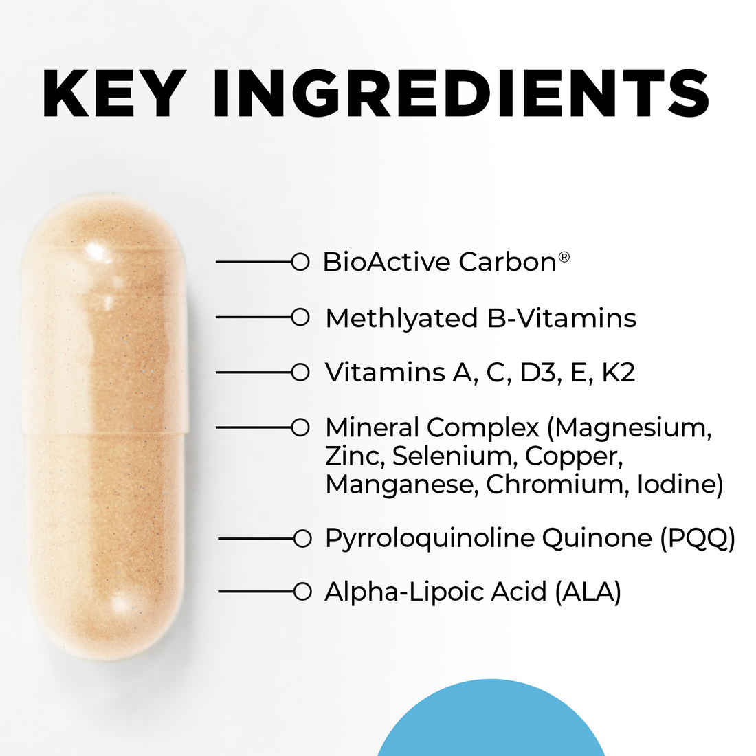 Core Nutrients 60 ct – CellCore Biosciences