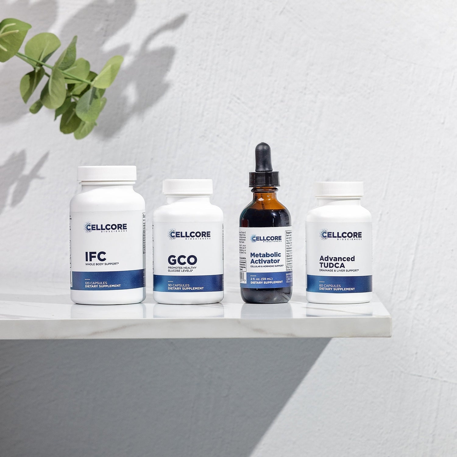 Metabolic Support Kit - Metabolism Support – CellCore Biosciences
