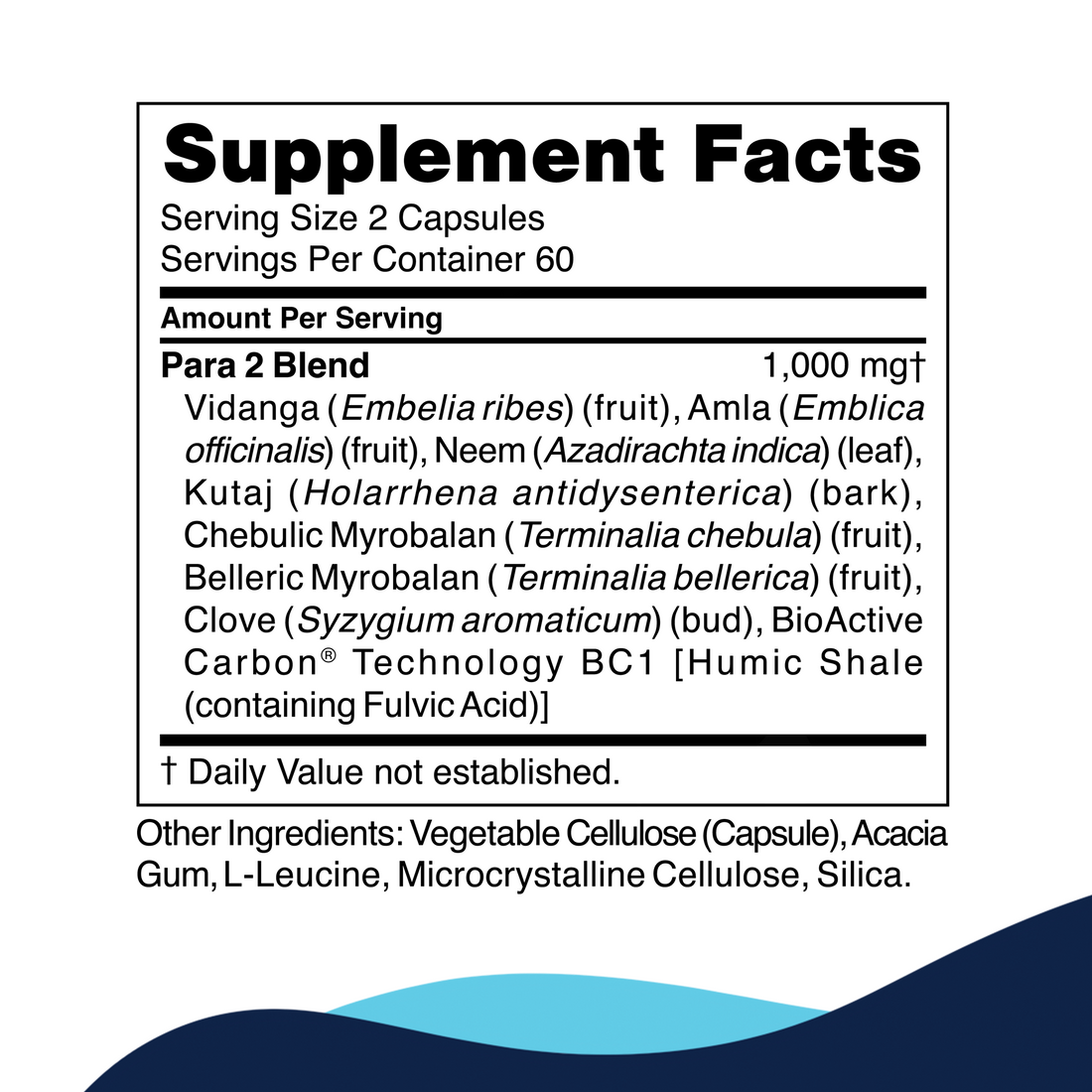 Para 2 † - Gut Support Supplement - CellCore Biosciences