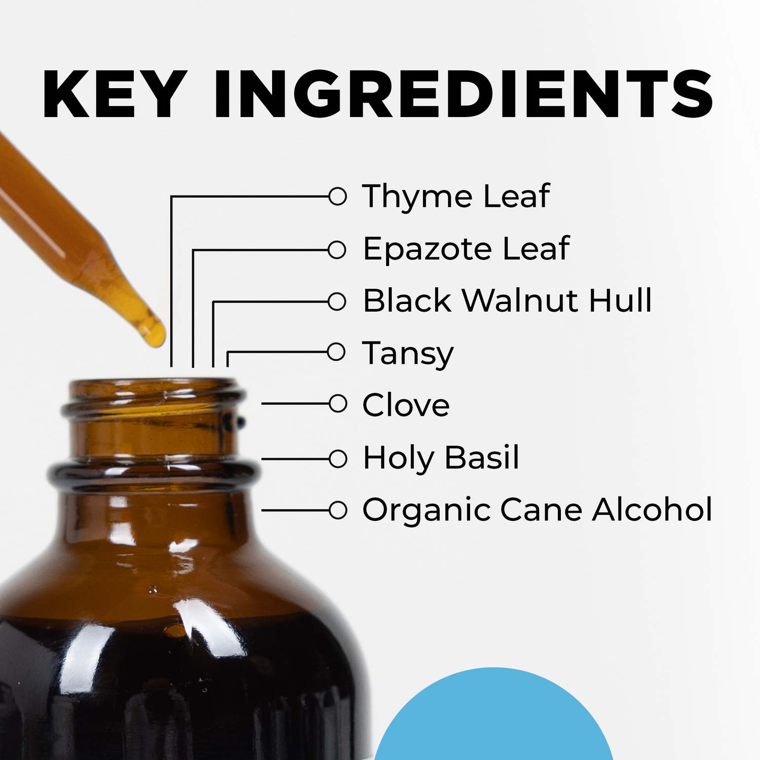 Para 3 - Microbiome Supplement - CellCore Biosciences