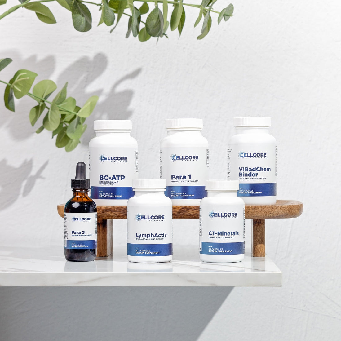 Phase 3: Whole Body Immune Support – CellCore Biosciences