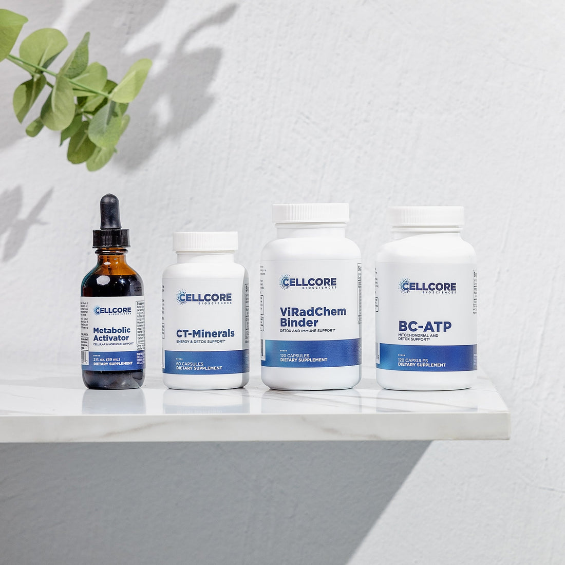 RAD Kit - Thyroid Support – CellCore Biosciences