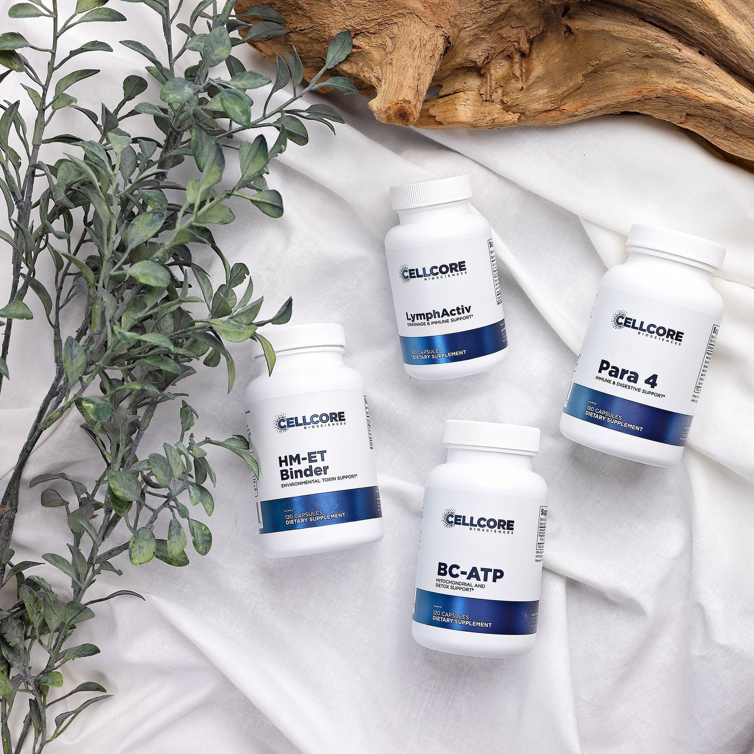 Step 4: Systemic Detox – CellCore Biosciences