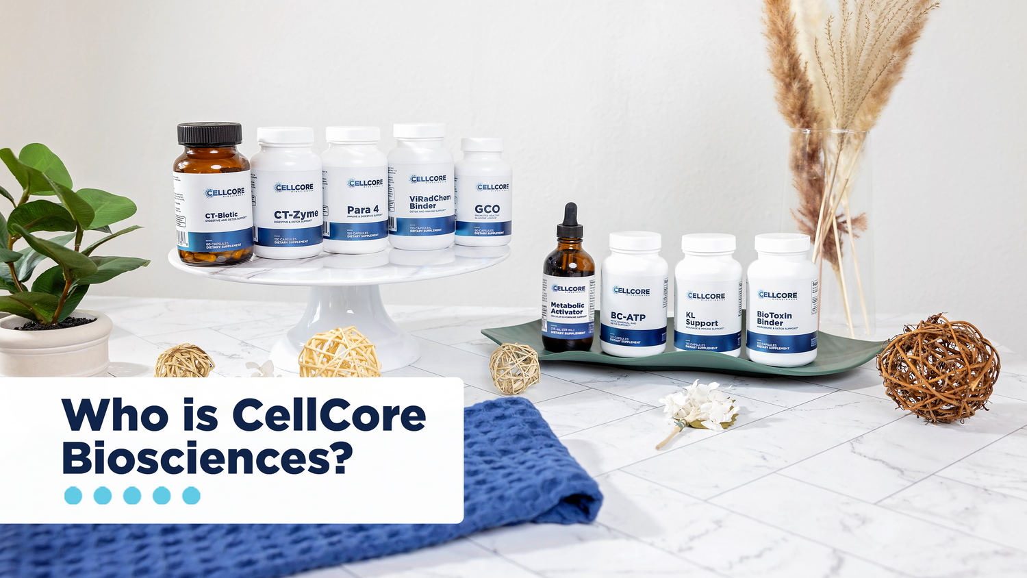 Event - Thank You – CellCore Biosciences